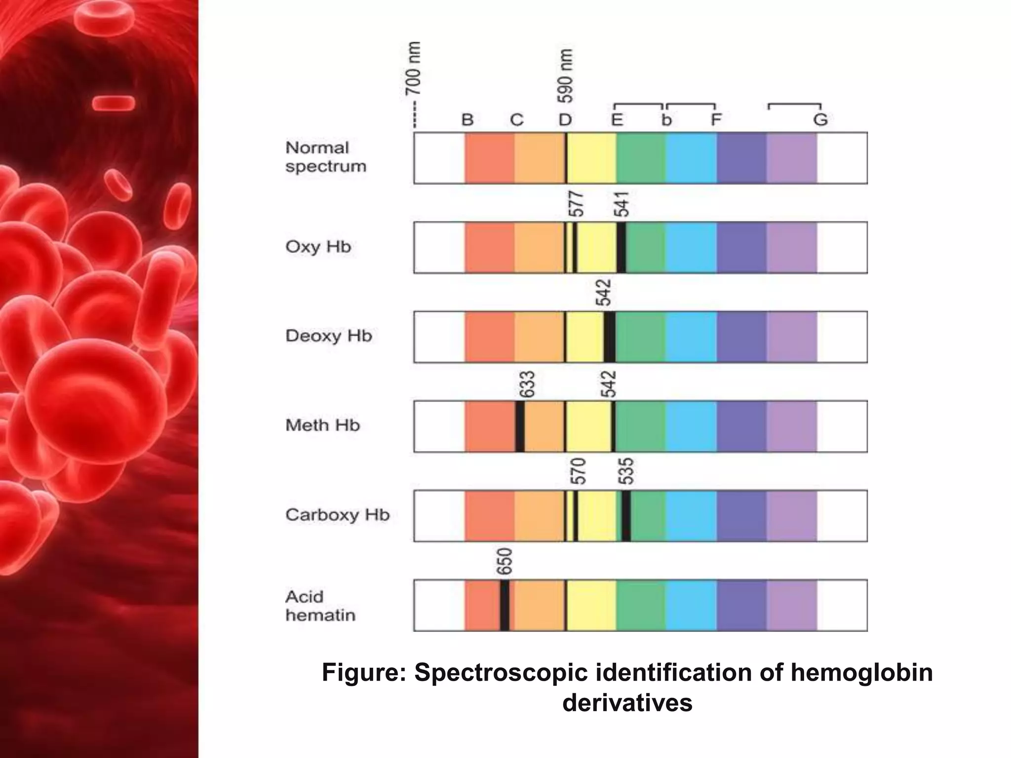 Major forms of hemoglobin and its derivatives/hemoglobinopathies | PPSX