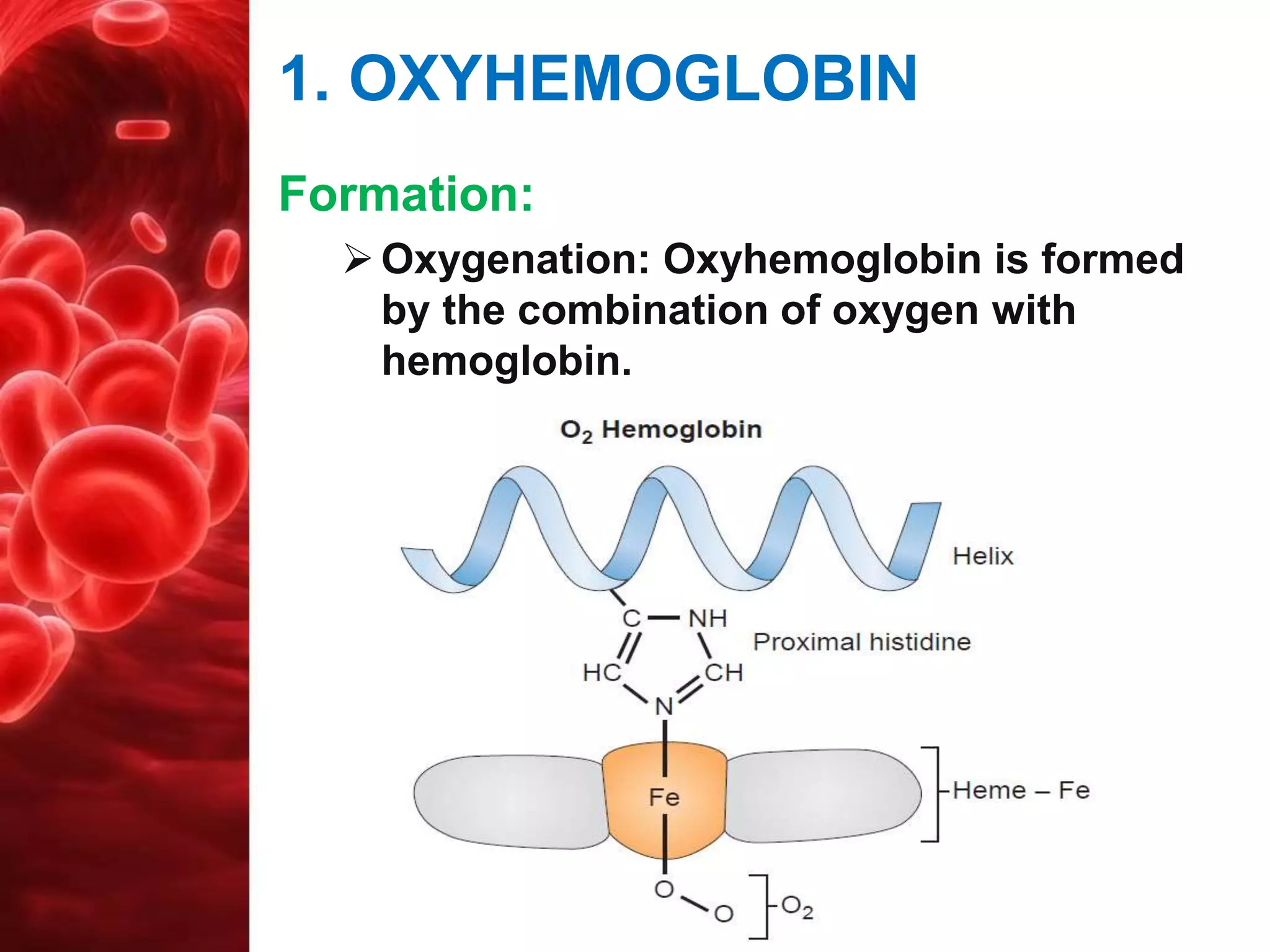 Major forms of hemoglobin and its derivatives/hemoglobinopathies | PPSX