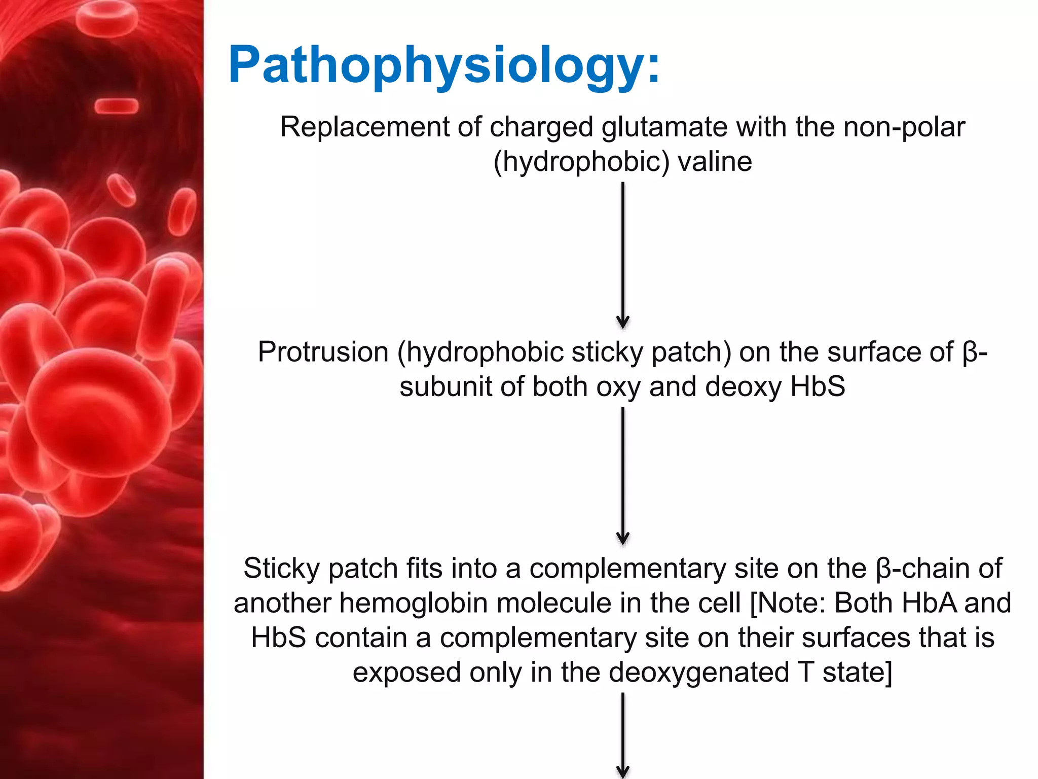 Major forms of hemoglobin and its derivatives/hemoglobinopathies | PPSX