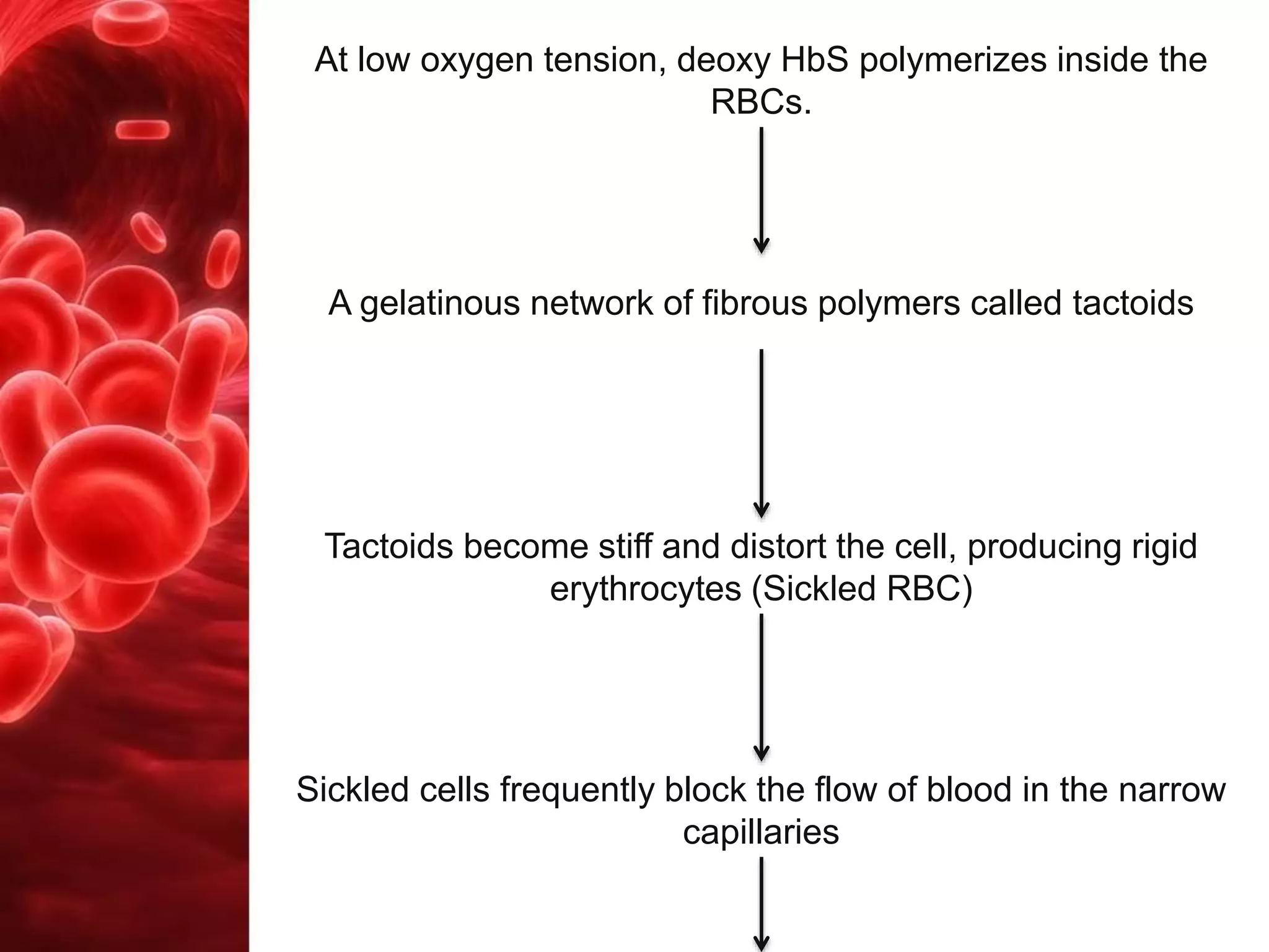 Major forms of hemoglobin and its derivatives/hemoglobinopathies | PPSX