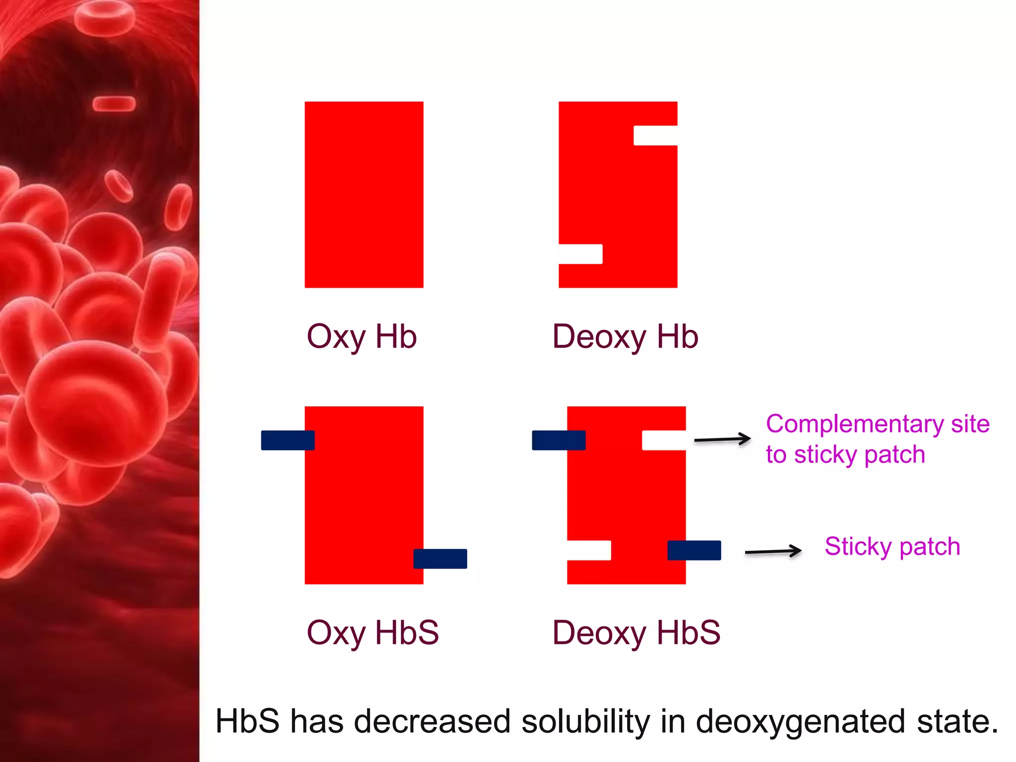 Major forms of hemoglobin and its derivatives/hemoglobinopathies | PPSX