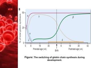 Major forms of hemoglobin and its derivatives/hemoglobinopathies | PPSX
