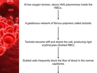 Major forms of hemoglobin and its derivatives/hemoglobinopathies | PPSX
