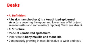 Derivatives of integument scales, beaks, horns,.pptx