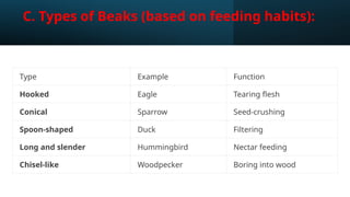 Derivatives of integument scales, beaks, horns,.pptx