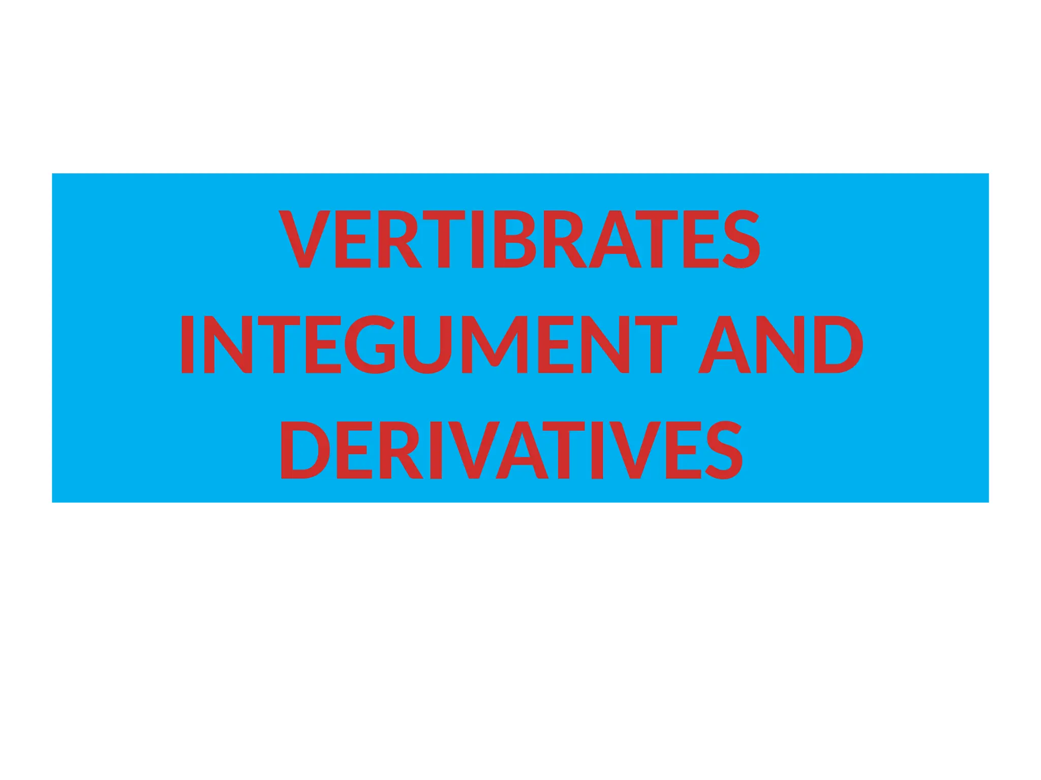 DERIVATIVES OF VERTIBRATES INTEGUMENT AND FUNCTIONS.pptx