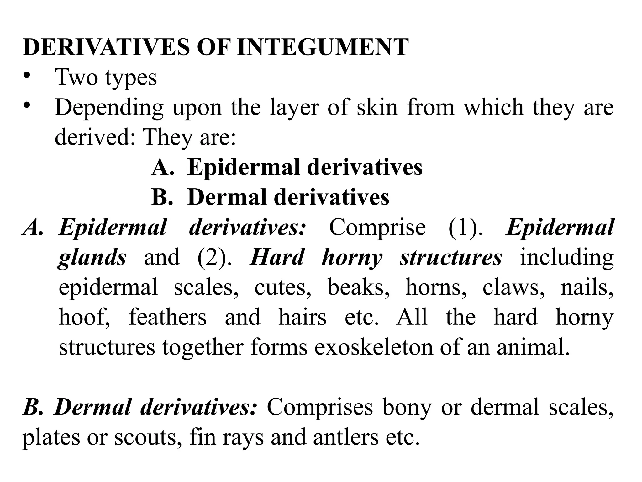 DERIVATIVES OF VERTIBRATES INTEGUMENT AND FUNCTIONS.pptx