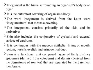DERIVATIVES OF VERTIBRATES INTEGUMENT AND FUNCTIONS.pptx