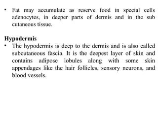 DERIVATIVES OF VERTIBRATES INTEGUMENT AND FUNCTIONS.pptx
