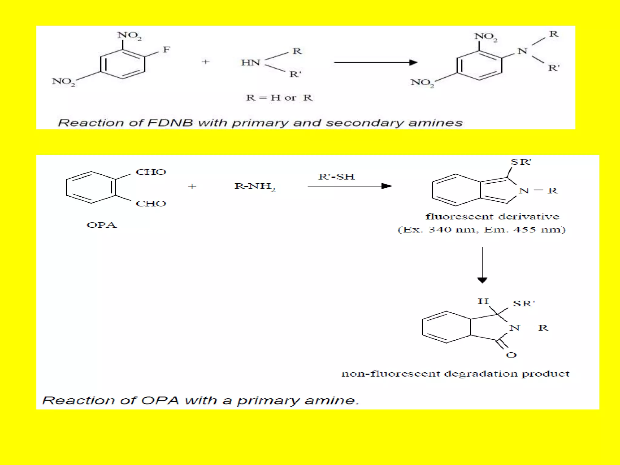 DERIVATIZATION IN GAS CHROMATOGRAPHY (GC), HIGHPERFORMANCE LIQUID ...