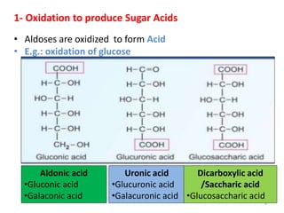 Derived carbohydrates | PPTX
