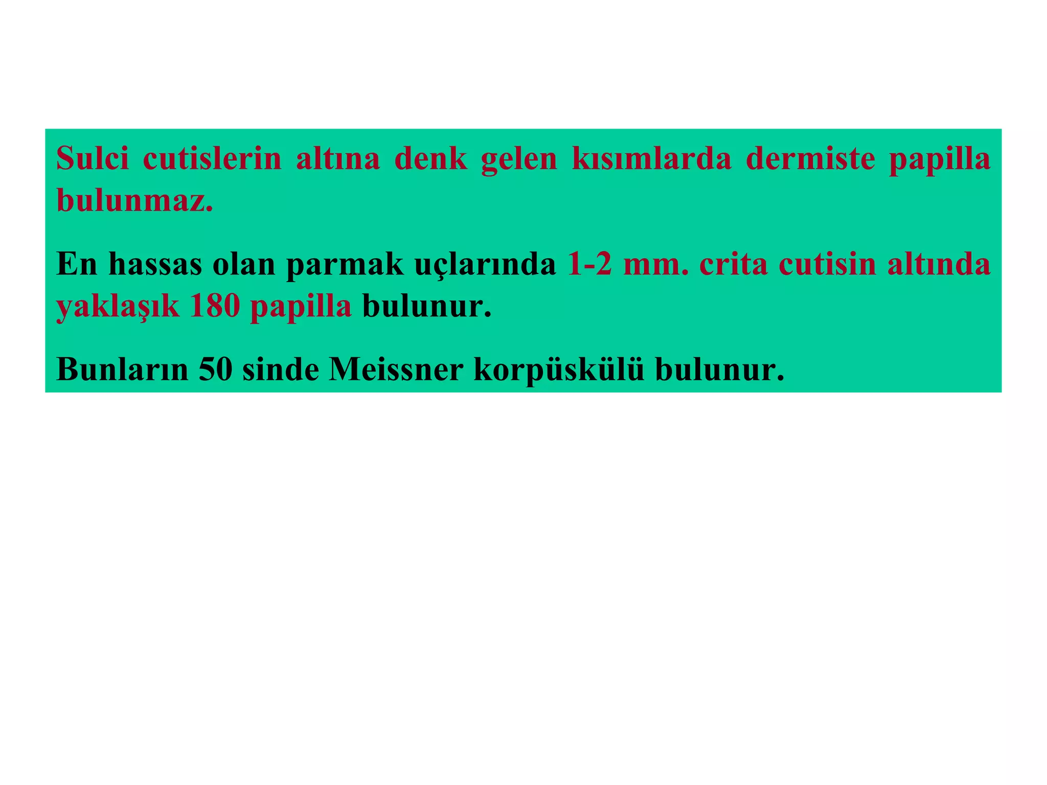 Deri ve eklentileri (fazlası için www.tipfakultesi.org ) | PPT