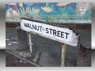 Derivé project | PPTX | Stamps and Coins | Collecting