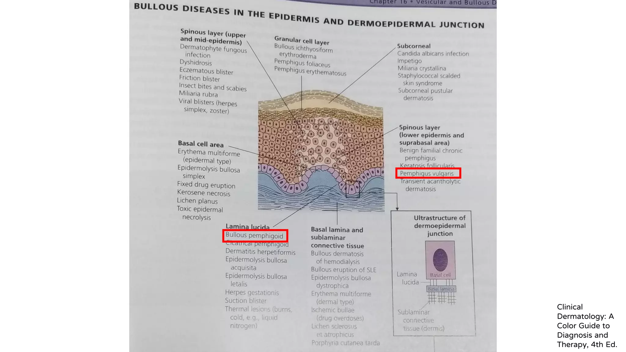Dermatology case presentation | PDF