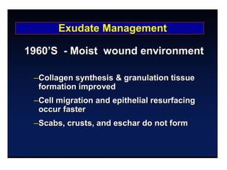 Dermagraft Lecture | PDF