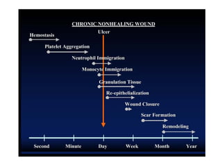 Dermagraft Lecture | PDF