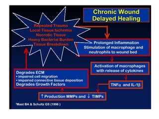 Dermagraft Lecture | PDF