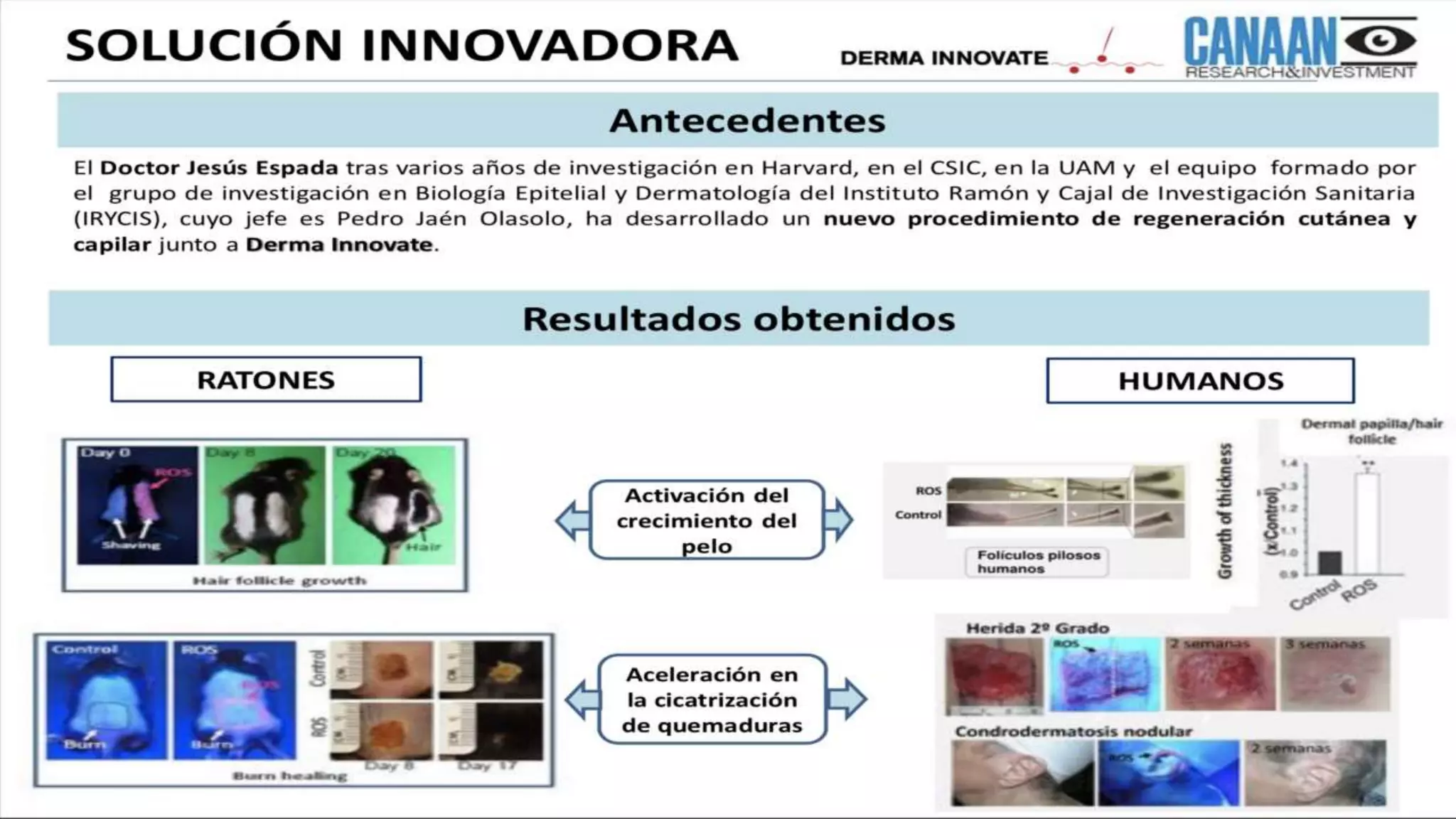 Derma Innovate | PPT