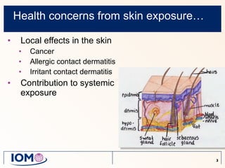 Dermal exposure measurement and modelling | PPT