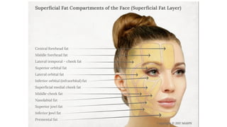 DERMAL FILLERS including anatomy, injection points , complications and ...
