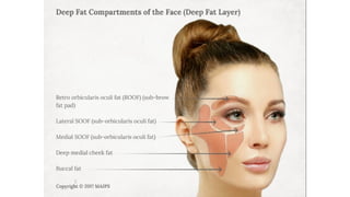 DERMAL FILLERS including anatomy, injection points , complications and ...