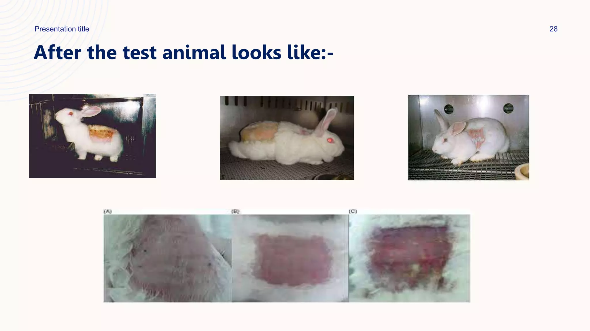 dermal irritation and dermal toxicity studies.pptx