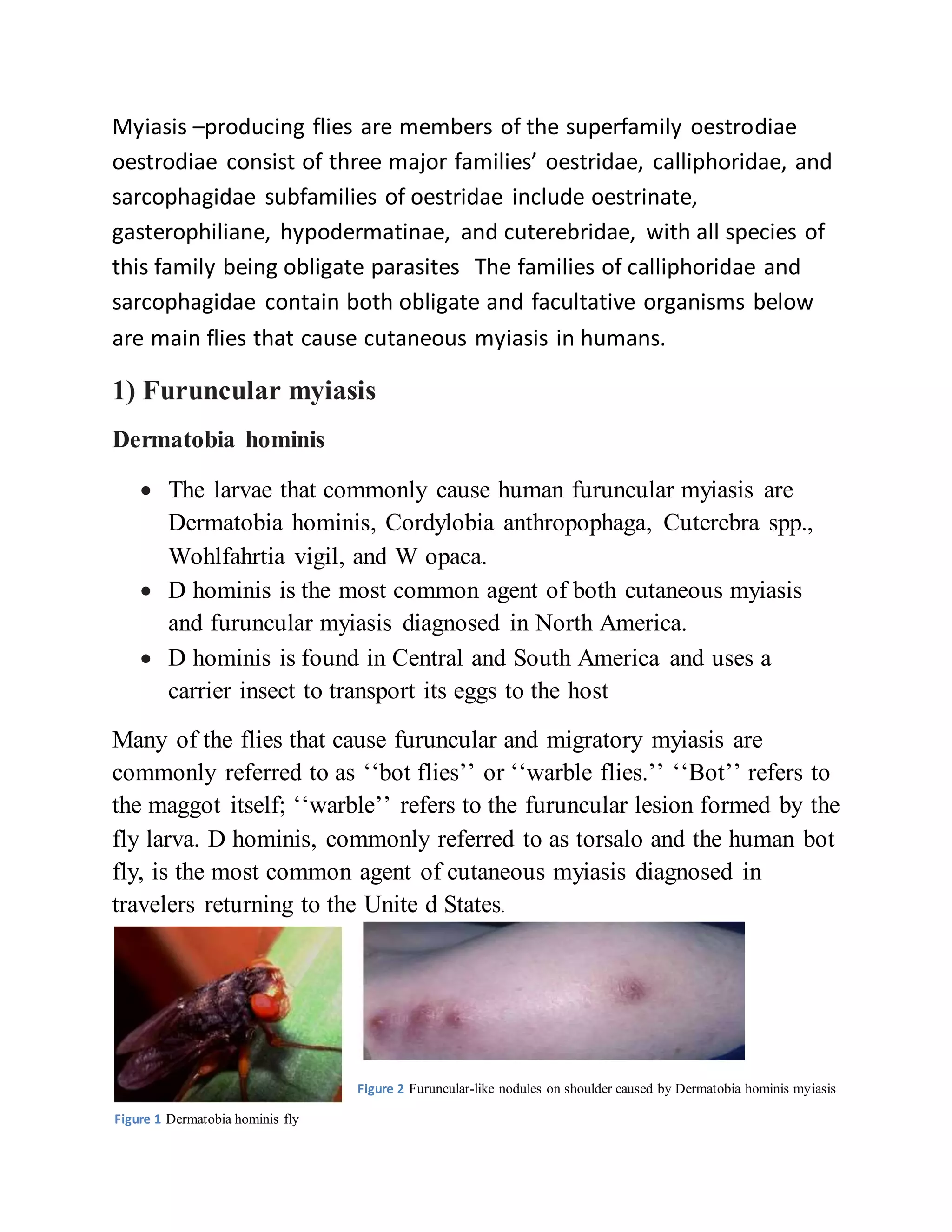 Dermal myiasis | DOCX