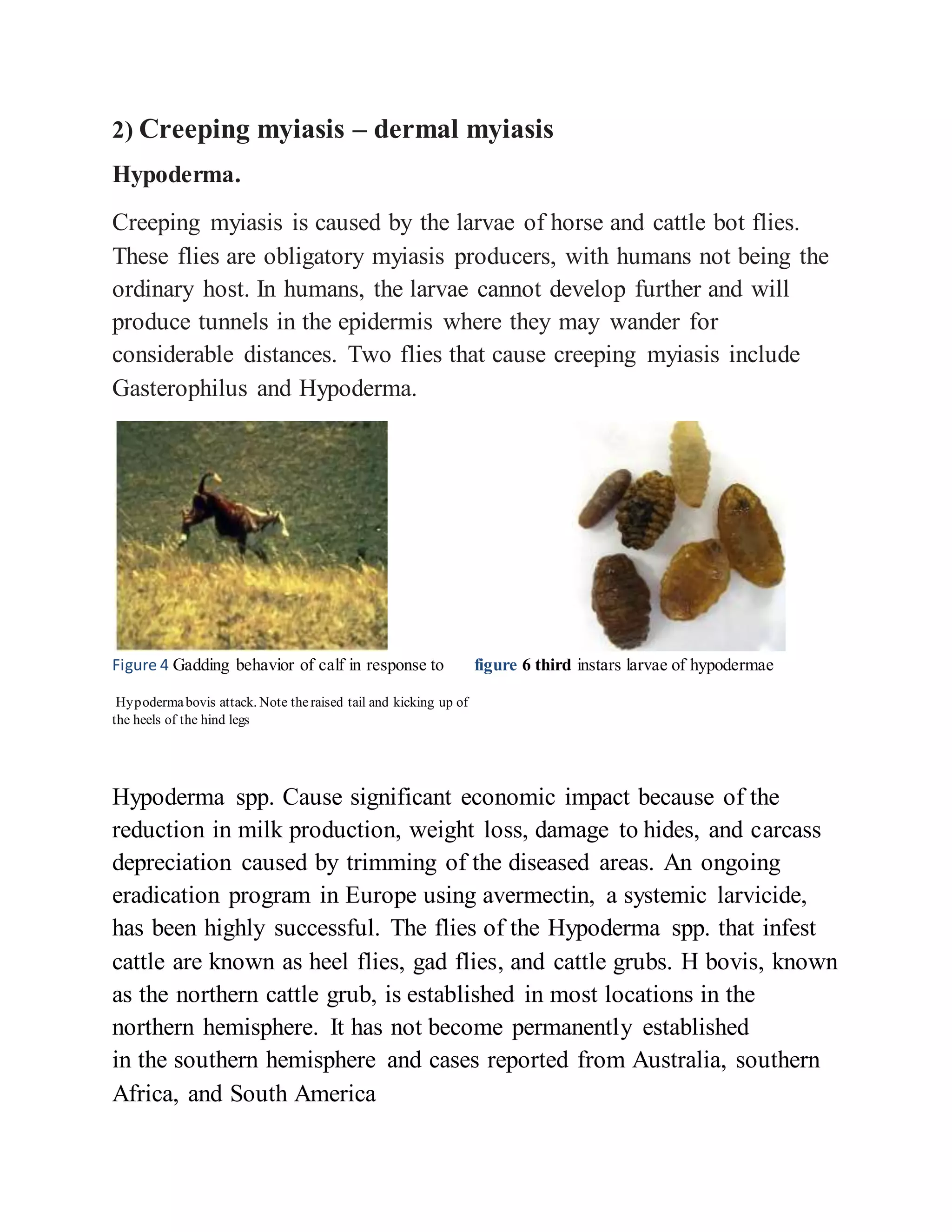 Dermal myiasis | DOCX