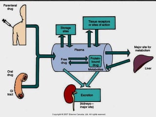 Dermal route | PPT