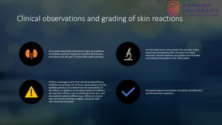 dermal toxicity.pptx