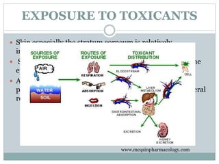 Dermal toxicology | PPTX | Skin and Dermatology | Diseases and Conditions