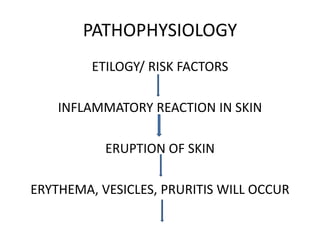 Dermatitis | PPTX