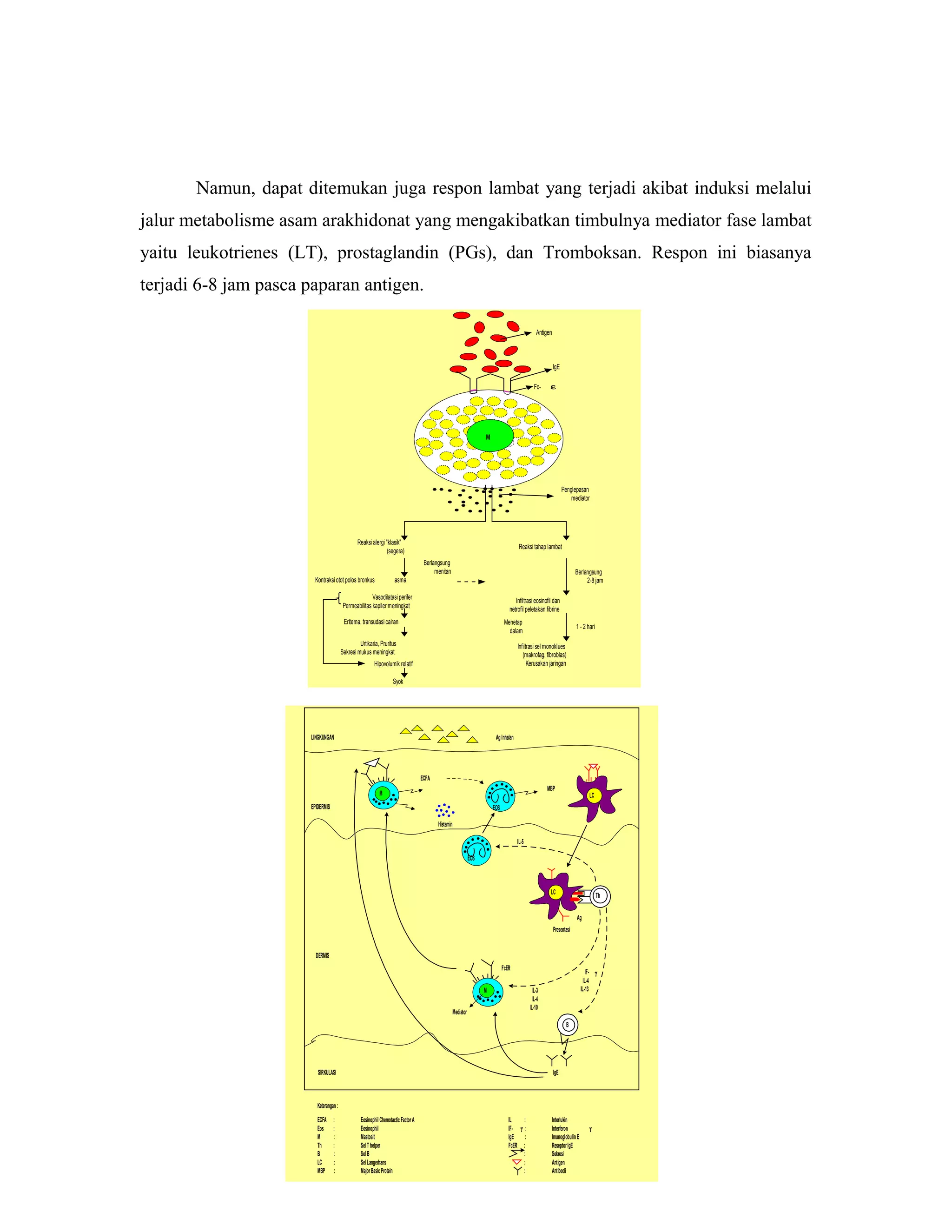 Atopic dermatitis | DOC