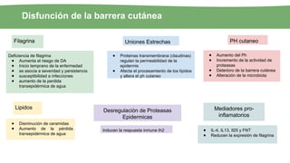 Dermatitis Atópica_ Inmunoalergia Cutánea bale.pptx