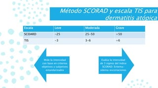 Dermatitis reaccionales | PPT