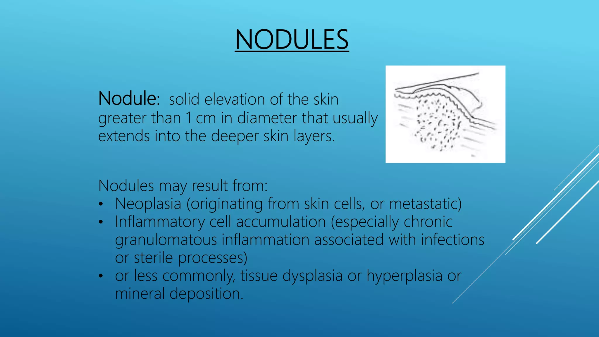 Dermatitis in animals types and lesions | PPTX