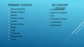 Dermatitis in animals types and lesions | PPTX