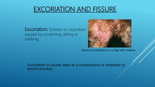 Dermatitis in animals types and lesions | PPTX