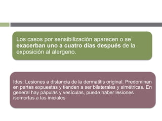 Dermatitis por contacto | PPTX
