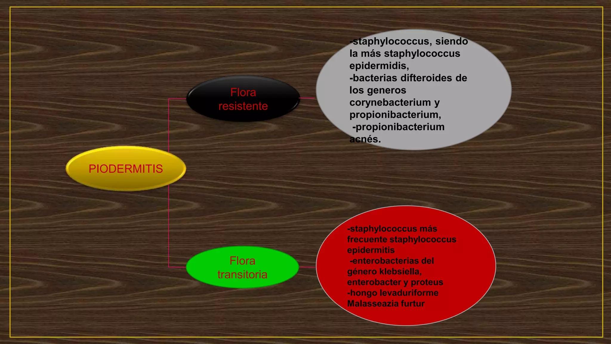 PIODERMITIS PIODERMIAS DERMATOLOGIA | PPTX