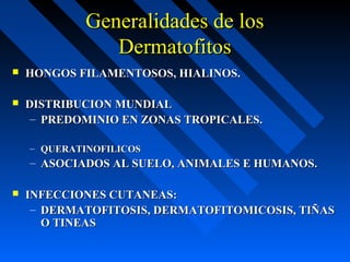 Dermatofitos | PPT