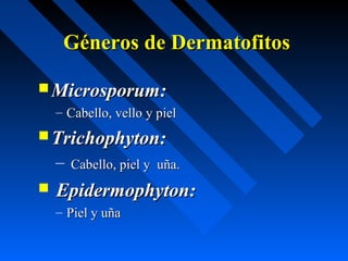 Dermatofitos | PPT