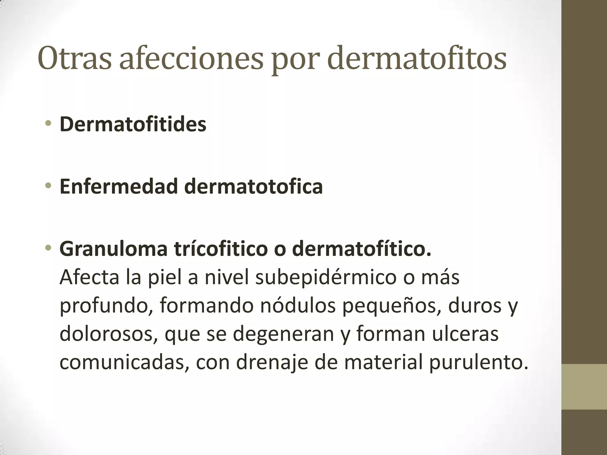 Dermatofitos | PPTX