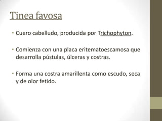 Dermatofitos | PPTX