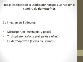 Dermatofitos | PPTX