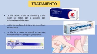 Dermatofitos | PPTX