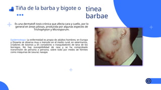 DERMATOFITOS.pptx dermatologia y sifilografia | PPTX