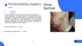 DERMATOFITOS.pptx dermatologia y sifilografia | PPTX