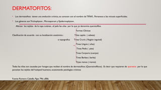 Dermatofitos.pptx que son los dermatofitos | PPTX