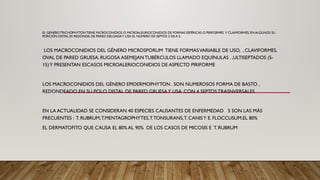 Dermatofitos.pptx que son los dermatofitos | PPTX